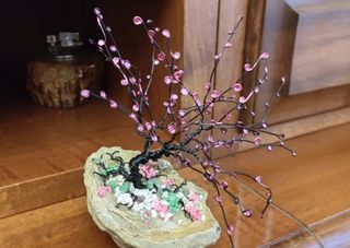 alberino ornamentale