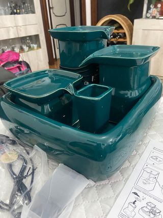 Fontanella per gatti