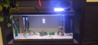 Acquario 100 litri (80x40x30)