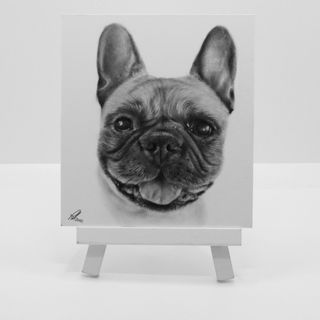 Quadro Bulldog