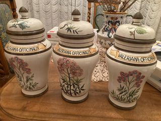 set 3 vasi contenitori botanici 