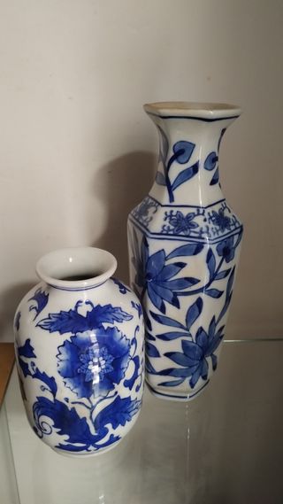 Due vasi cinesi bianchi e blu 