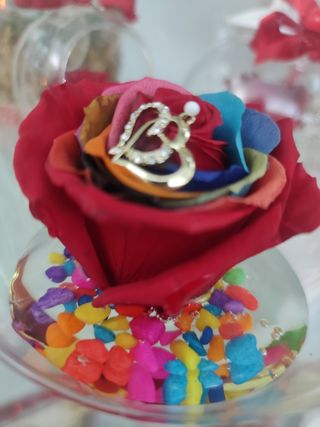 Rosa rainbow stabilizzata