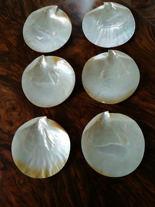 Servizio da pesce Madreperla