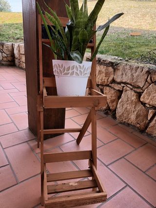 portapiante in legno