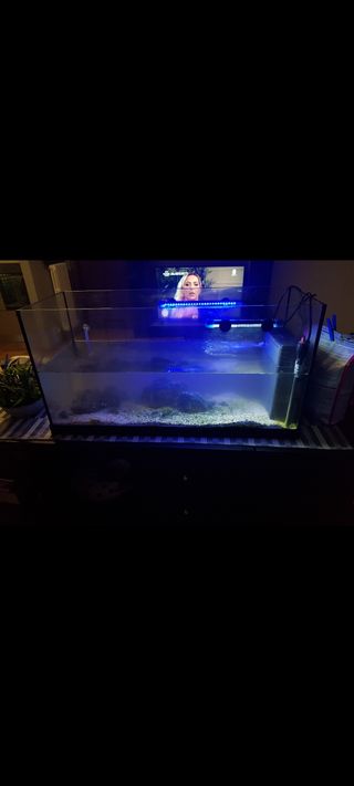 acquario più accessori