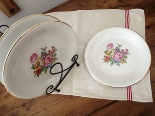 Piatti piani francesi Saint Amand Nord