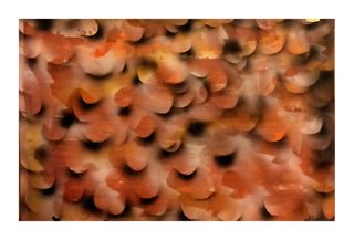 QUADRO ARTE CONTEMPORANEA 