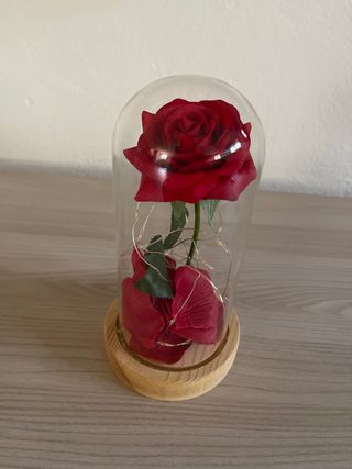 Rosa la bella e la bestia