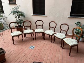 6 sedie 