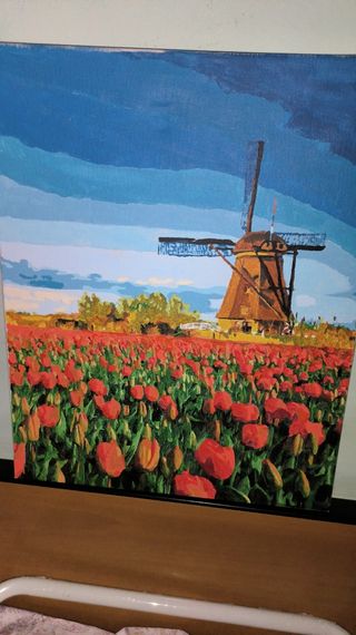 Quadro Mulino e campo di Tulipani