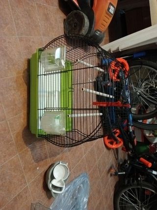 gabbietta per uccelli 