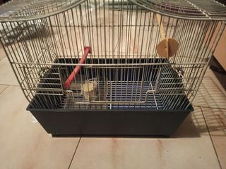 Gabbietta per uccelli