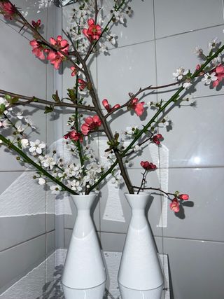 Coppia di vasi in ceramica Galzone