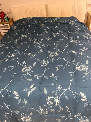 Trapunta vera piuma d'oca matrimoniale 