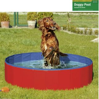 Piscina per Cani Portatile Pieghevole in PVC 80x20
