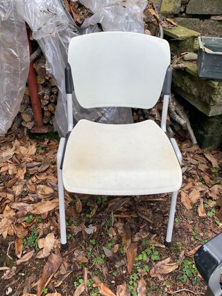 Due sedie da ufficio