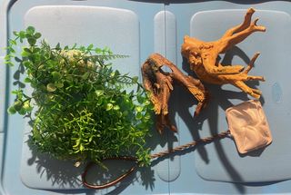 Accessori per acquario