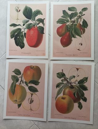 Set 4 stampe in litografia digitale 25x34 cm