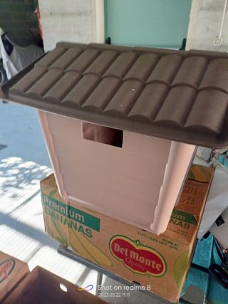 cuccia cane piccole dimensioni 