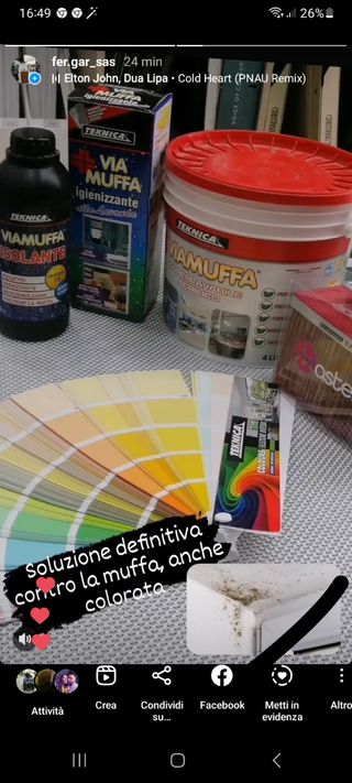 VENDO kit per PITTURA antimuffa