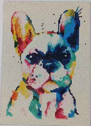 Quadro bulldog francese 30x40, Diamond painting. 