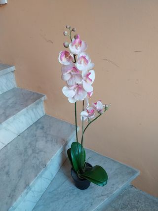 orchidea finta ikea