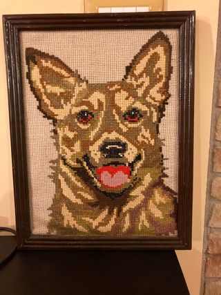 Quadro cane