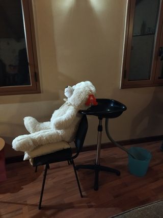 lava testa da parrucchiere 