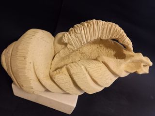 Scultura in PIETRA LECCESE " conchiglia marina"