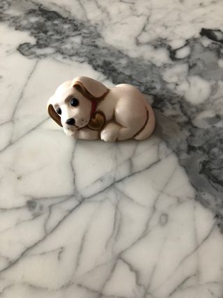 Cagnolino Thun