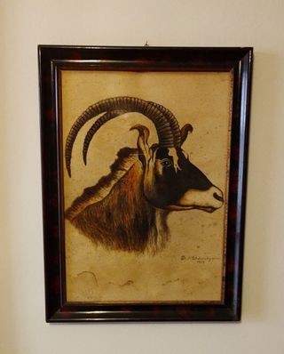 Acquerello firmato e datato "Lo stambecco"
