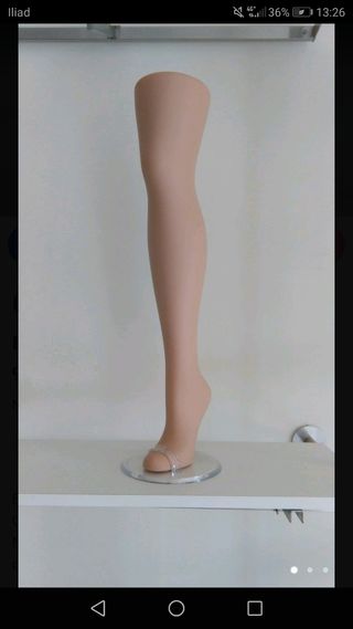 n.02 gambe