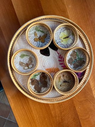 Vassoi eleganti bambù 