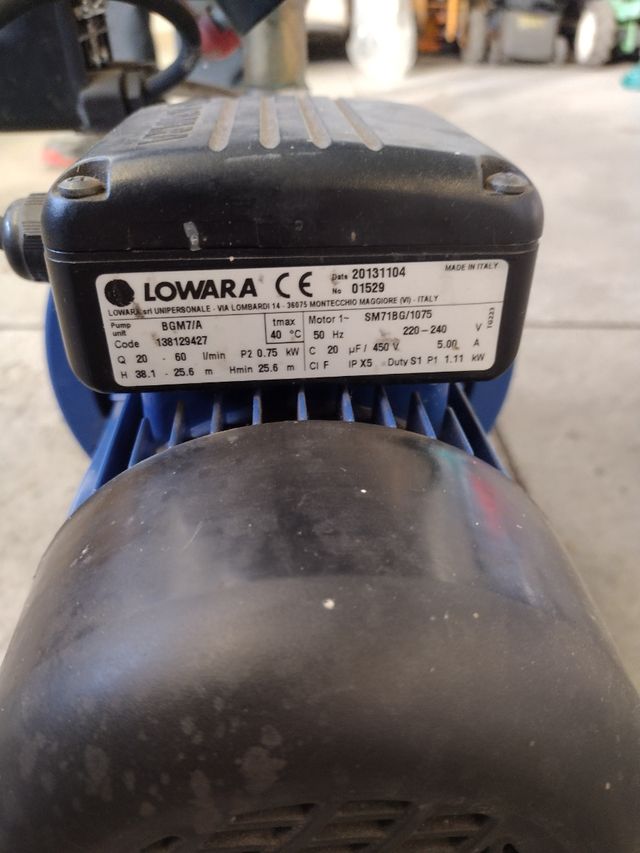 Pompa autodescante Lowara centrifuga monofase BGM7: giardino e fai da te in vendita a Treviglio ...