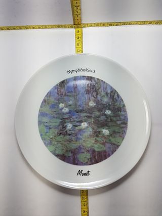 Piatti D'Autore in porcellana Tognana 