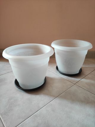 Vaso bianco trasparente 