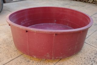 Mastello basso - Piscina cane