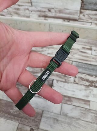 COLLARE CUCCIOLI, GATTI O CANI PICCOLA TAGLIA XS