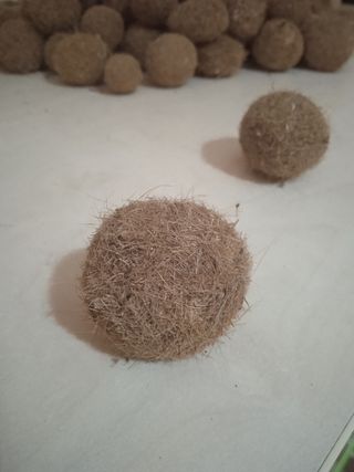 spugne, pietre pomice e radici