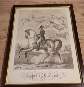 quadro stampa vintage napoleon le grand 