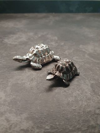 Tartarughe argento