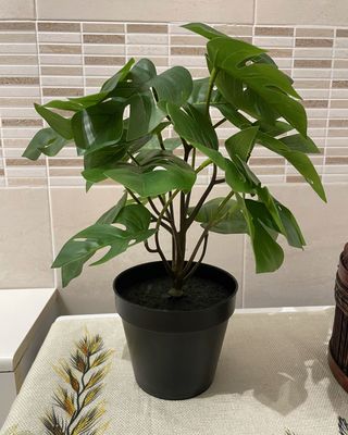 Pianta artificiale, nuova 