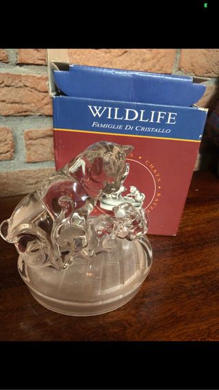 Lotto gattini e maglia