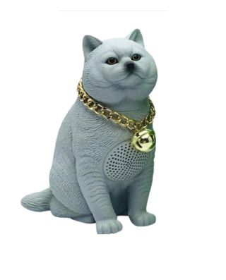 Altoparlante portatile Bluetooth potente wireless
