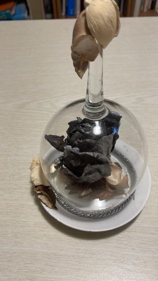 Rosa in ampolla vetro 