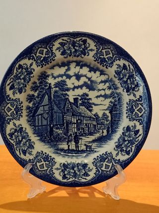 Piatto di porcellana.