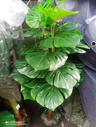 Pianta di palma  artificiale per arredo 