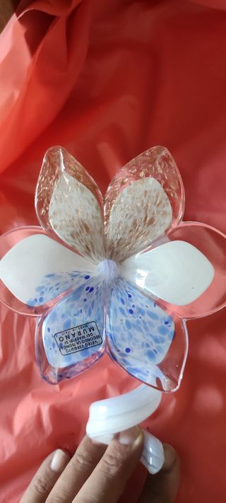 fiore di murano 