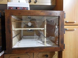 apicoltura - incubatrice per sviluppo regine